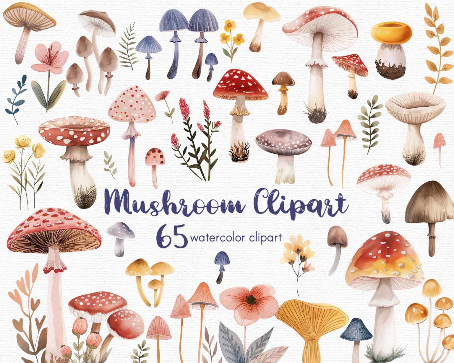 Mushroom clipart set with 65 png files! 🍄