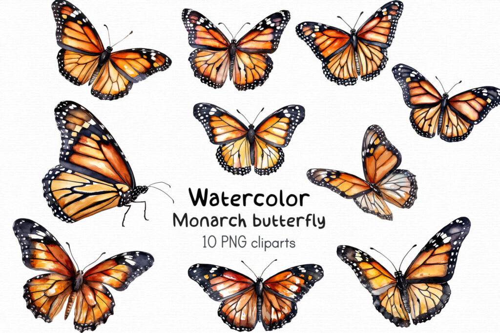 Monarch Butterfly Clipart PNG
