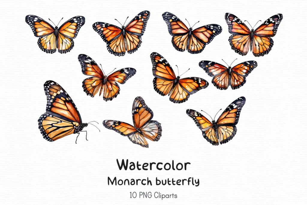 Monarch Butterfly Clipart PNG