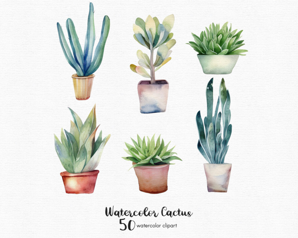 Cactus Clipart 🌵 Watercolor Succulent PNG Set