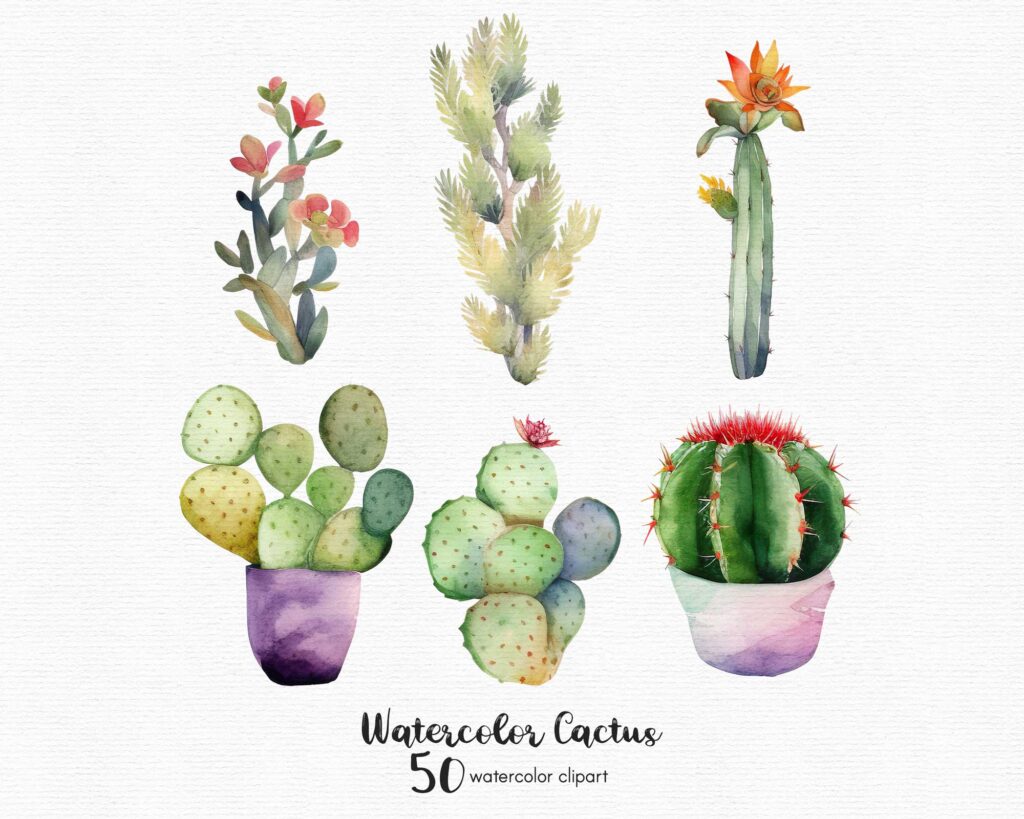 Cactus Clipart 🌵 Watercolor Succulent PNG Set